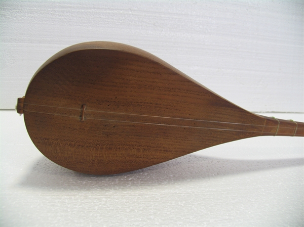 Persian Music Shop. Persian Dotar 02