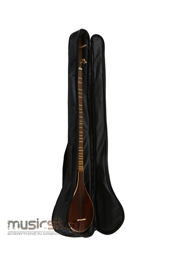 Persian Music Shop. Economy Class Setar-Sehtar